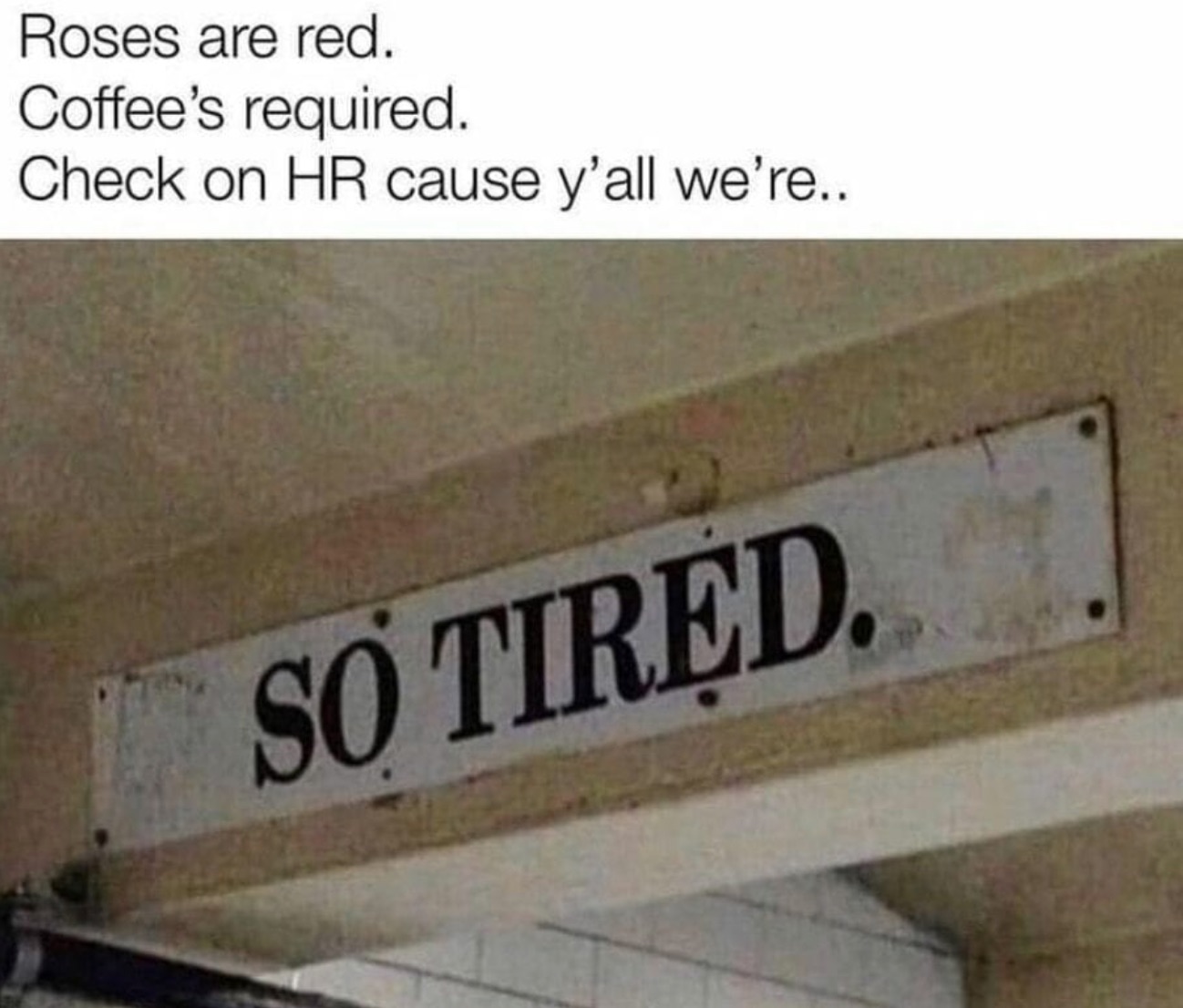 50 Funny HR Memes [Budget, Resumes, CEOs, Payroll+] | Ongig Blog