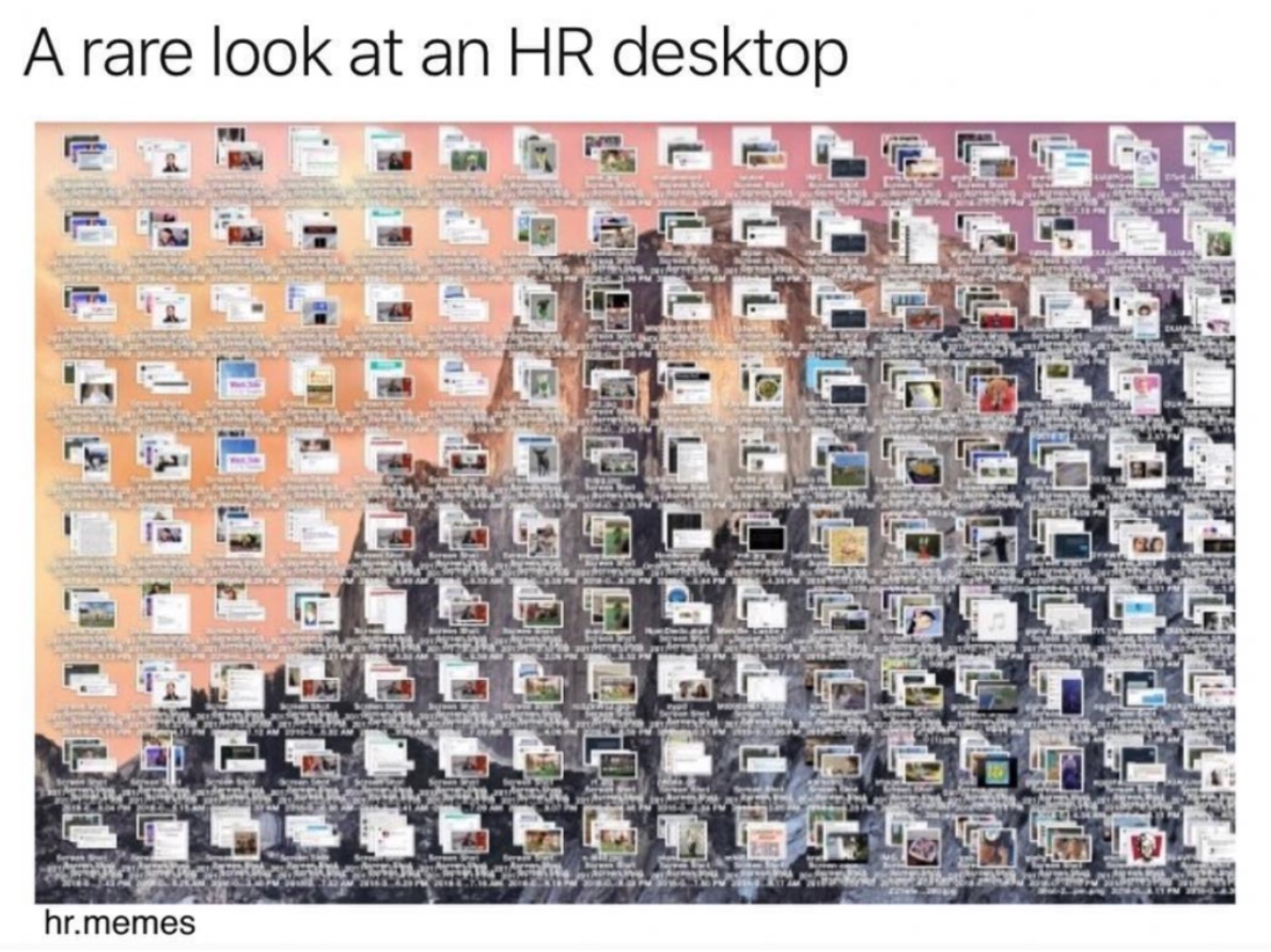 50 Funny HR Memes [Budget, Resumes, CEOs, Payroll+] | Ongig Blog