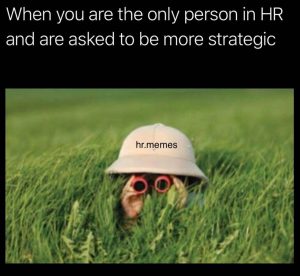 50 Funny HR Memes [Budget, Resumes, CEOs, Payroll+] | Ongig Blog