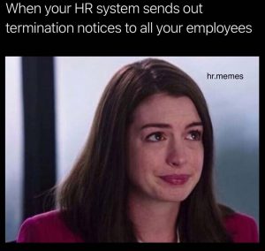 50 Funny HR Memes [Budget, Resumes, CEOs, Payroll+] | Ongig Blog